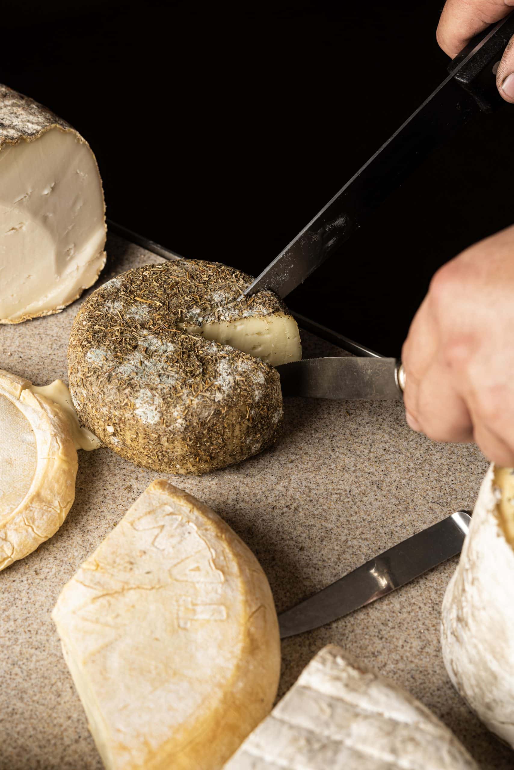 Maison Chabran - Teritoria