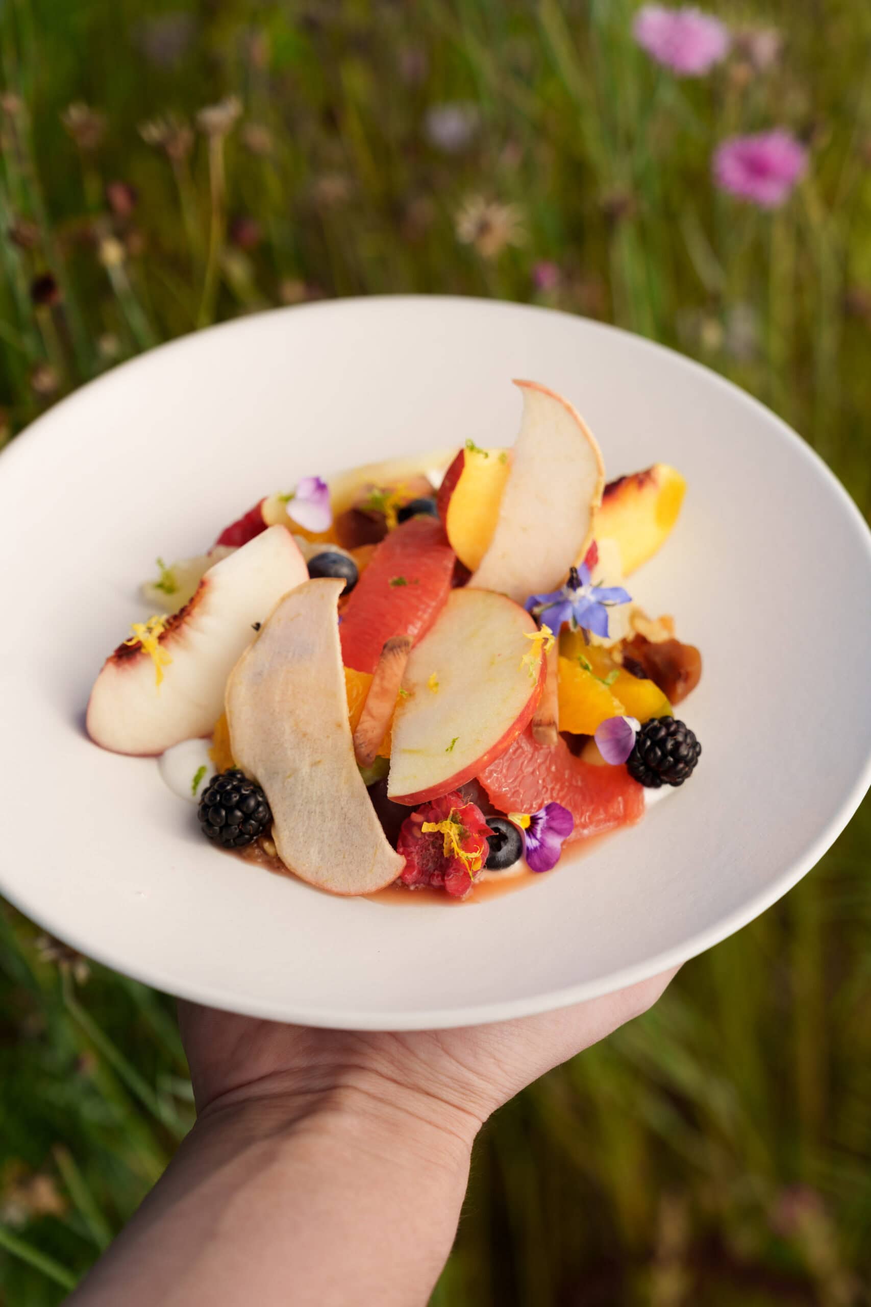 Château du Theil - Teritoria